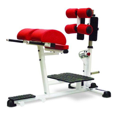 ATLANTIS Hyper Extension BENCH USAGÉ – Canadian Fitness Equipment