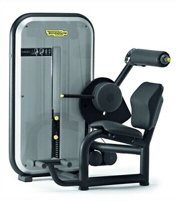 TECHNOGYM ELEMENT LOWER BACK USAGÉ – Canadian Fitness Equipment