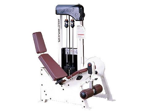 BODY MASTER LEG EXTENSION USAGÉ – Canadian Fitness Equipment